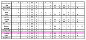 Panache Swimwear Anya Bandeau Top | Buy Fuller Figure Swimwear Online ...